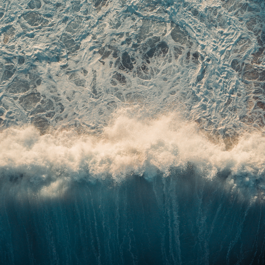 Chalk Cream Update – Chalk Rebels